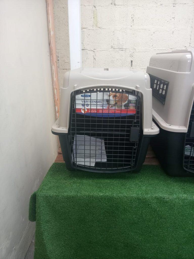 Transportadora VARI KENNEL ULTRA – Banana-Pet