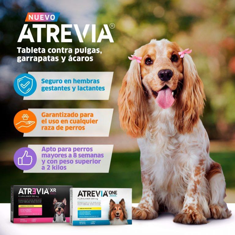 ATREVIA XR-Caja de 1 tableta – Banana-Pet