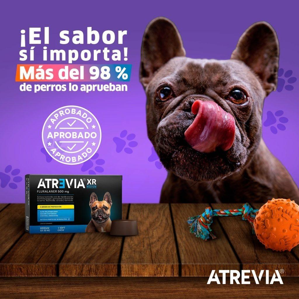 ATREVIA XR-Caja de 4 tabletas – Banana-Pet