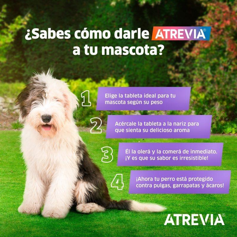 ATREVIA ONE-Caja de 1 tableta – Banana-Pet