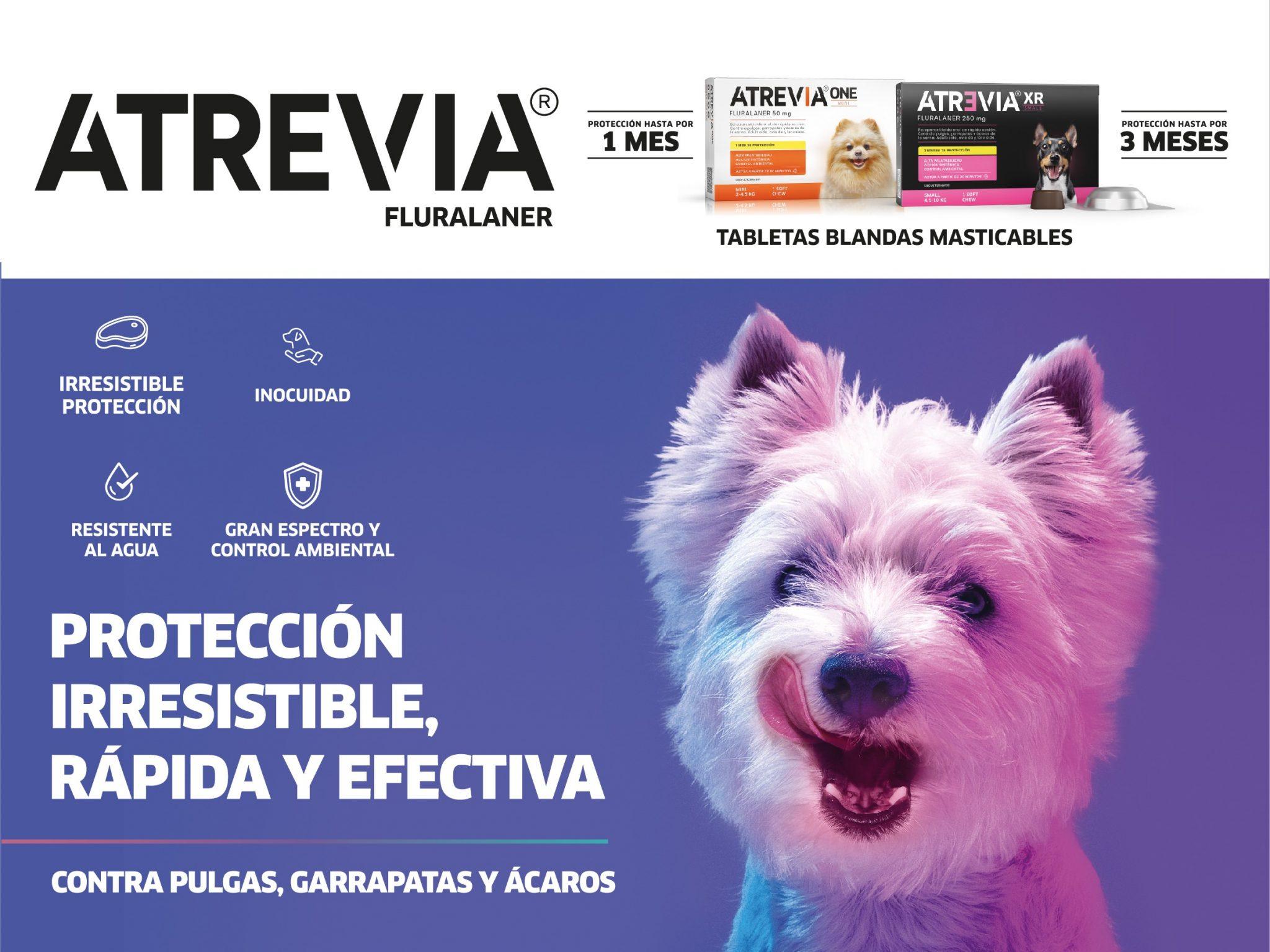 ATREVIA ONE-Caja de 1 tableta – Banana-Pet