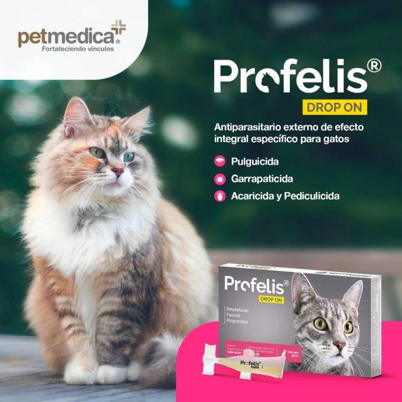 PROFELIS DROP ON Antipulgas-gato – Banana-Pet