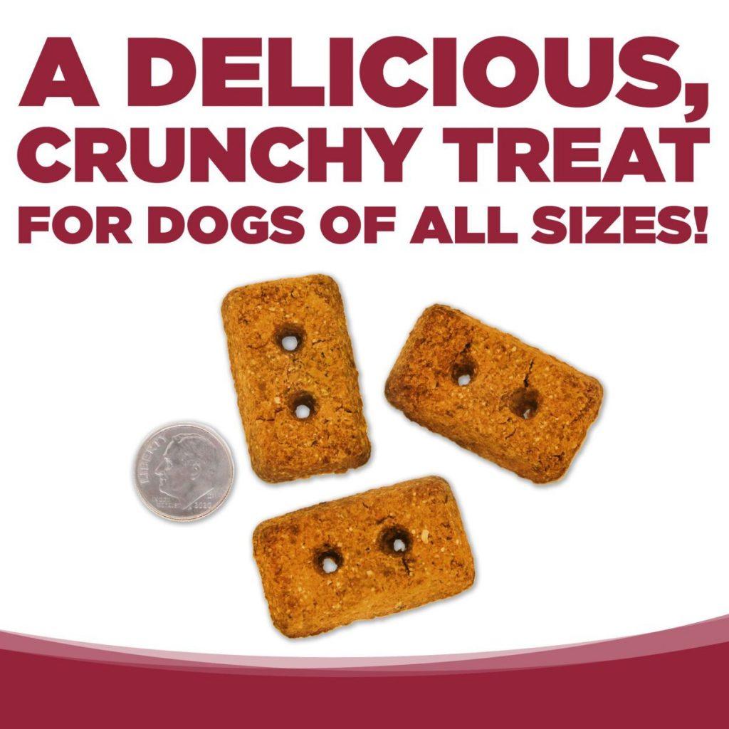 NUTRISOURCE TREATS BISCUITS LIVER- sabor higado 14onz – Banana-Pet