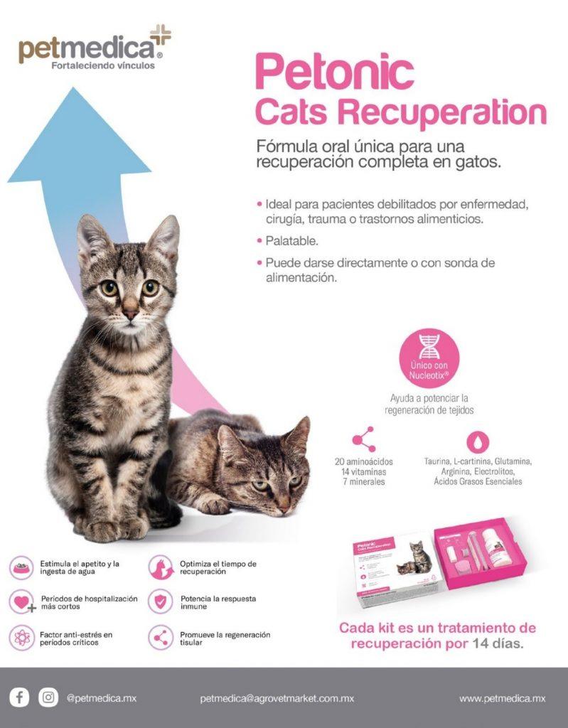 PETONIC CATS RECUPERATION-Frasco 55ml – Banana-Pet